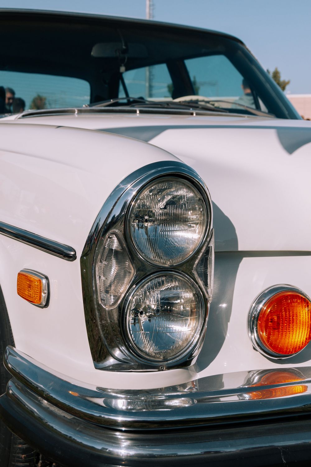 En In-Depth Look at the Establishment of KVD Bil